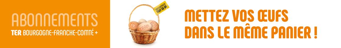 Pass Mobigo Flex Quotidien +, abonnement annuel train + bus avec 1,5 ...