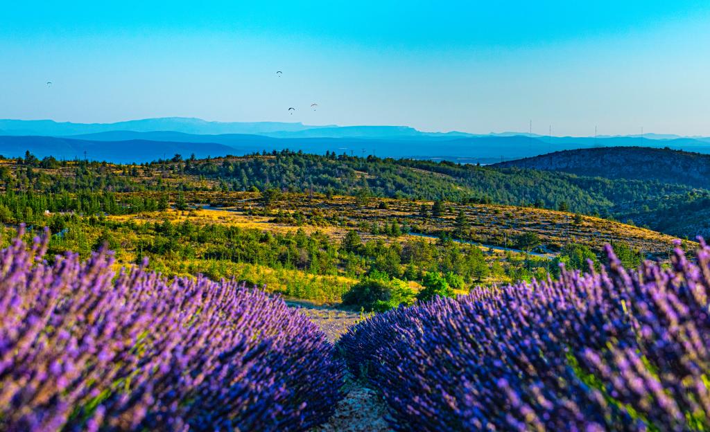 réservation vélo à bord des trains disponible dès maintenant je réserve ...
