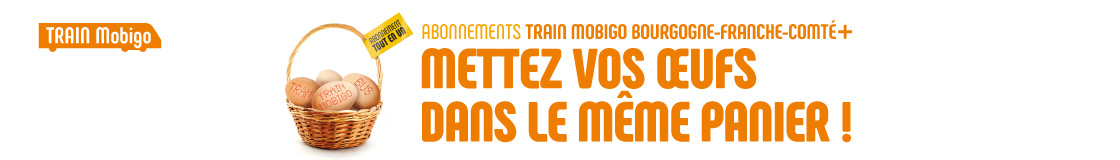 Pass Mobigo Flex Quotidien +, abonnement annuel train + bus avec 1,5 ...