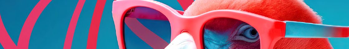 Carte Fluo : carte TER, -50% sur tous les TER Fluo| TER Fluo en Grand Est